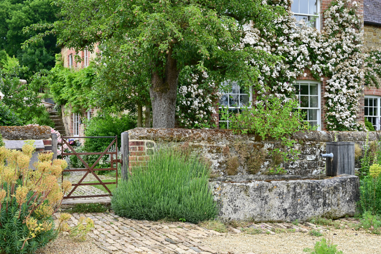 The ICAA Announces Winners of the 2022 Arthur Ross Awards for ...