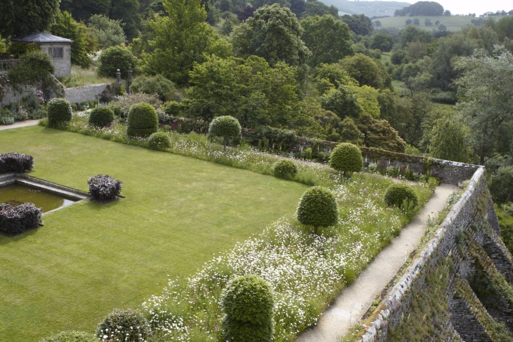 For the Love of Plants: Planted Structure in Garden Design, with Arne ...
